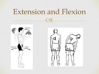 Introduction to anatomy 1 | PDF