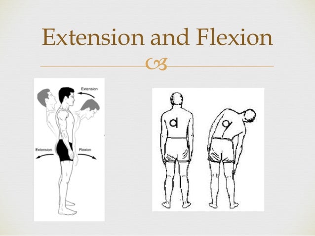 Introduction to anatomy 1