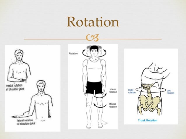 Introduction to anatomy 1