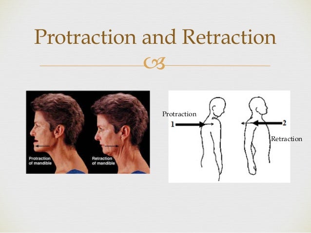 Introduction to anatomy 1