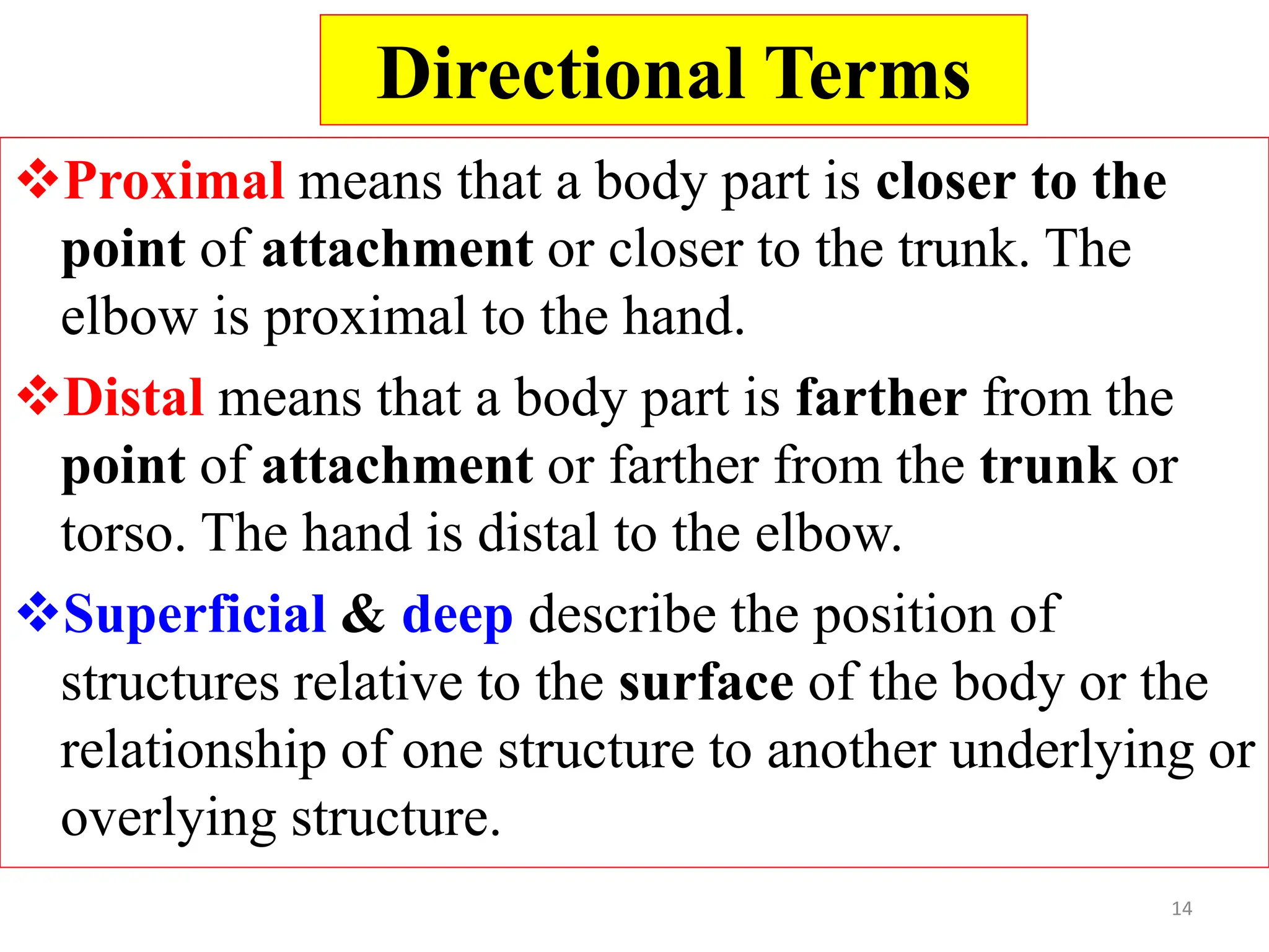 introduction to human anatomy for master degree student | PPT