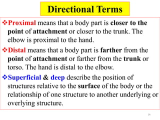 introduction to human anatomy for master degree student | PPT