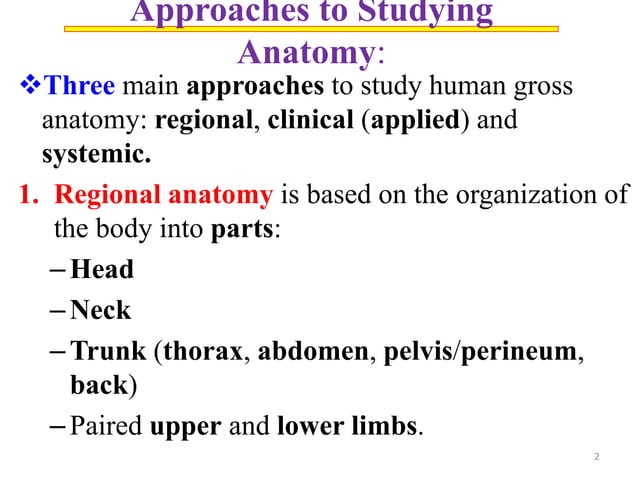 introduction to human anatomy for master degree student | PPT