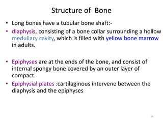 introduction to human anatomy for master degree student | PPT