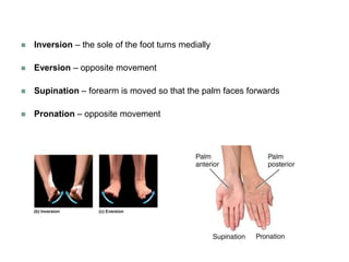 Introduction to Anatomy 2021 copy.pptx