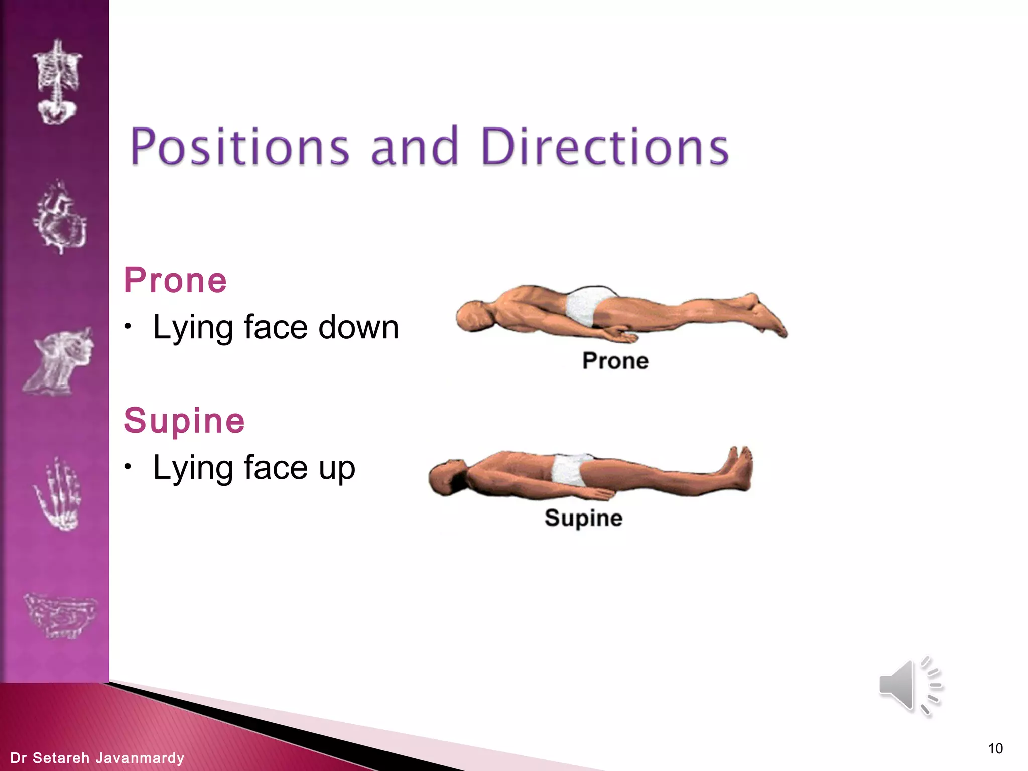Introduction to anatomy, anatomical terms | PPT