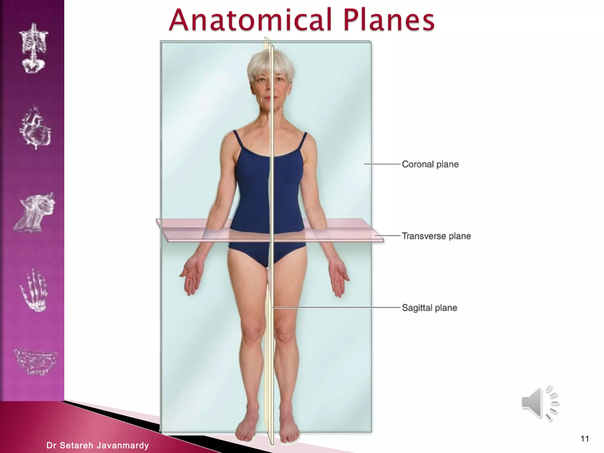 Introduction to anatomy, anatomical terms | PPT