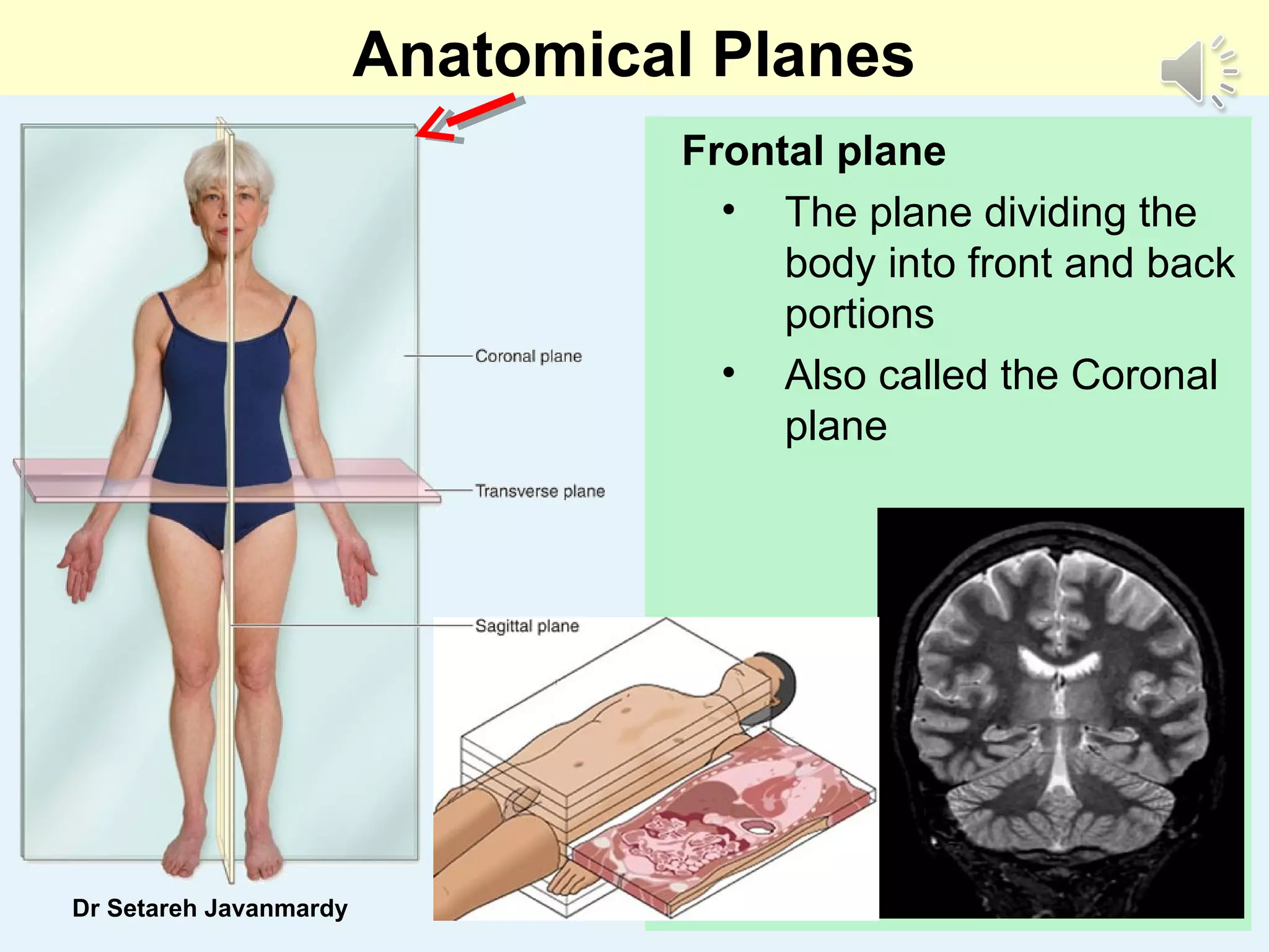 Introduction to anatomy, anatomical terms | PPT
