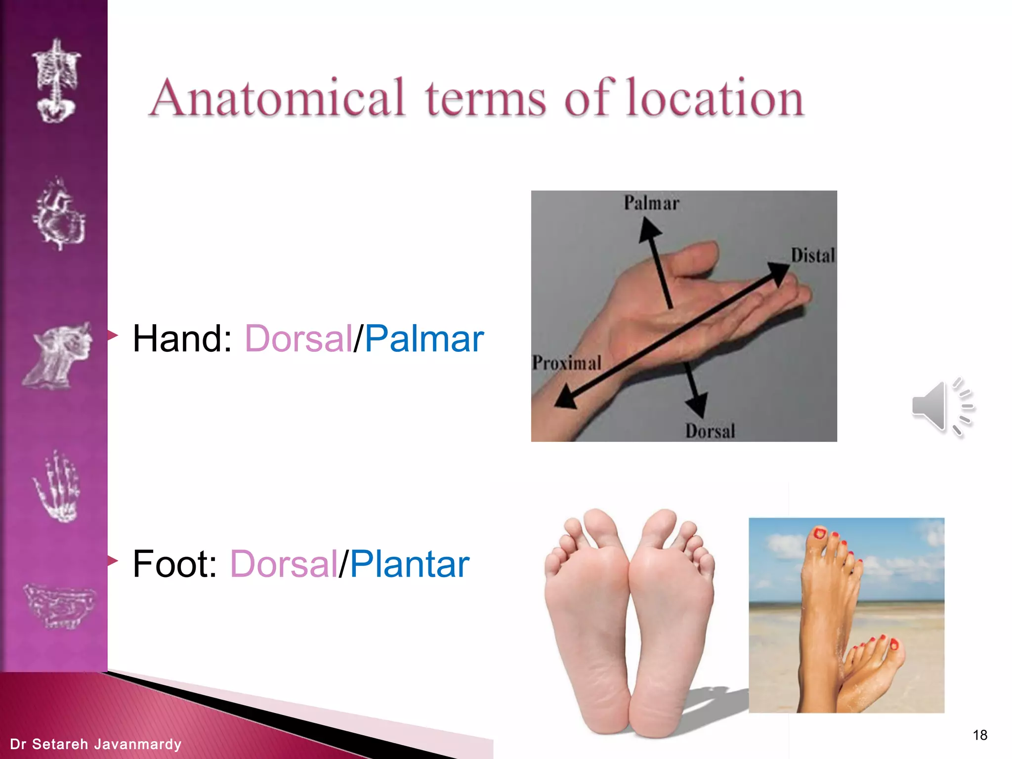 Introduction to anatomy, anatomical terms | PPT