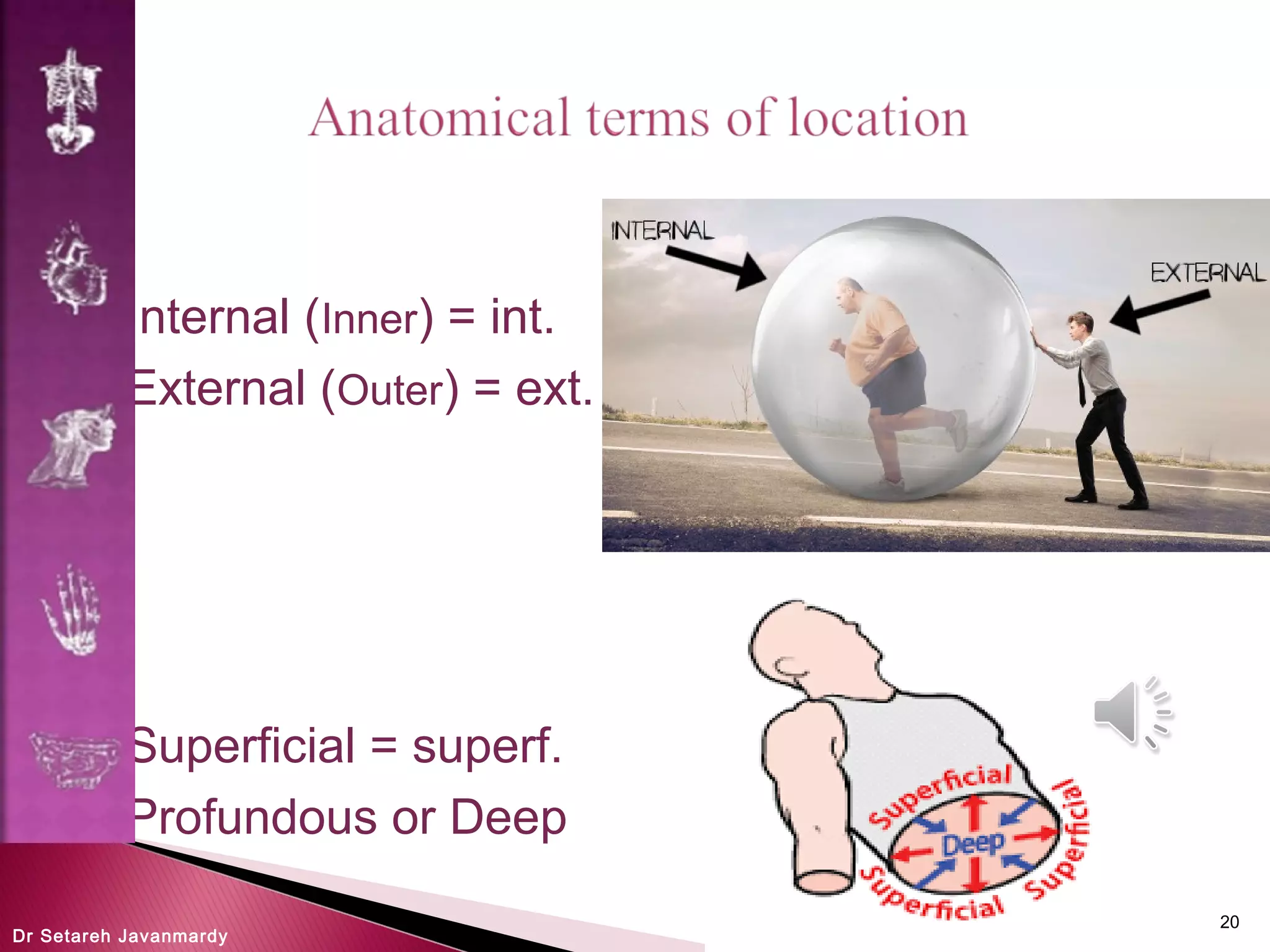 Introduction to anatomy, anatomical terms | PPT