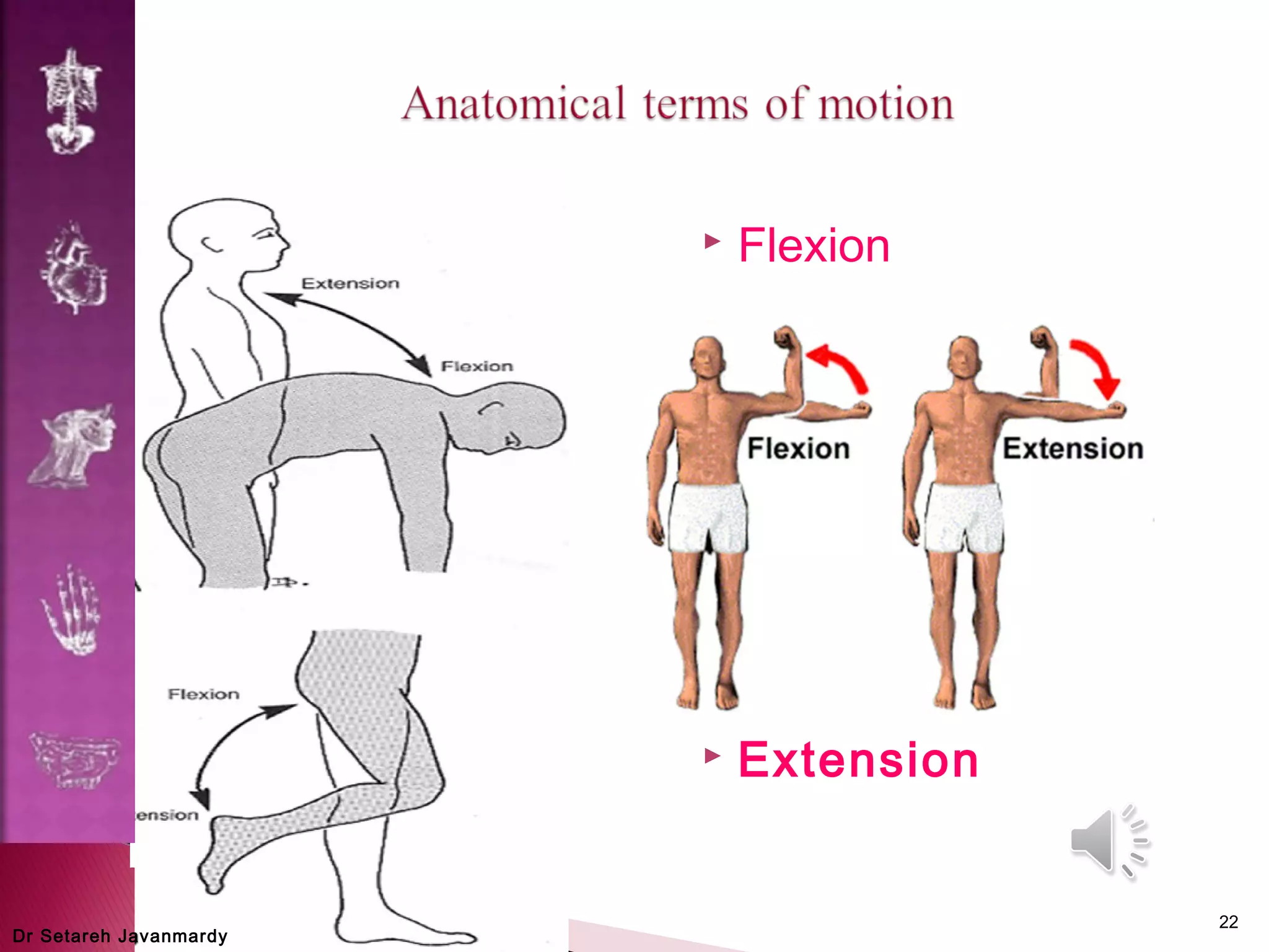 Introduction to anatomy, anatomical terms | PPT
