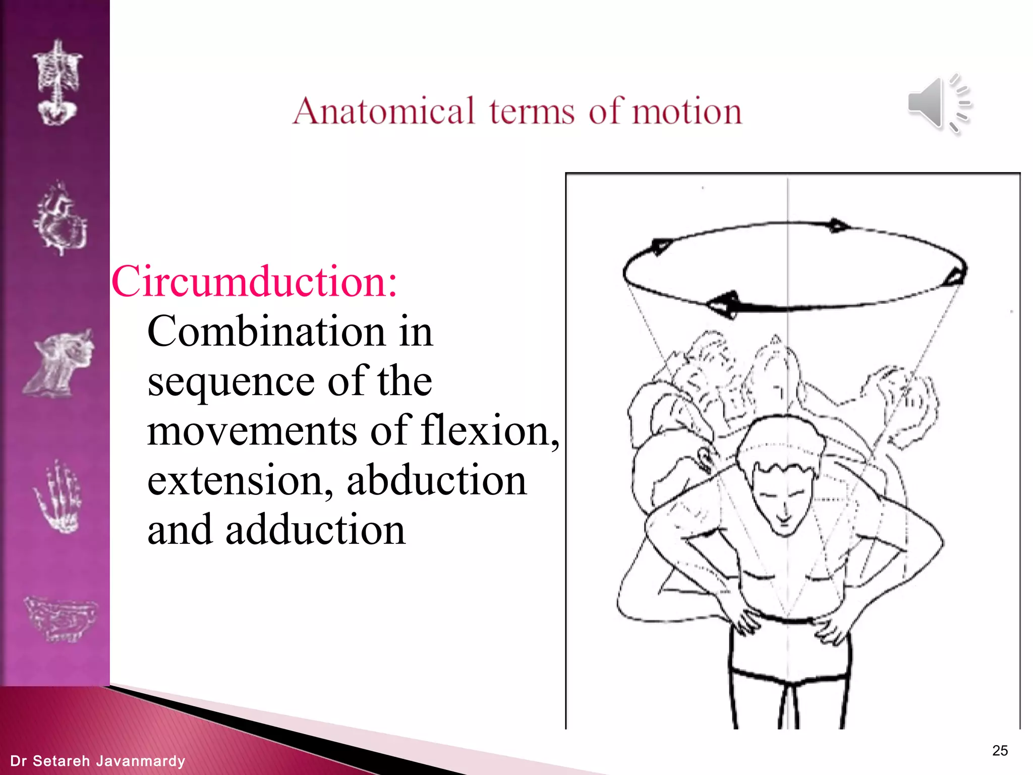 Introduction to anatomy, anatomical terms | PPT
