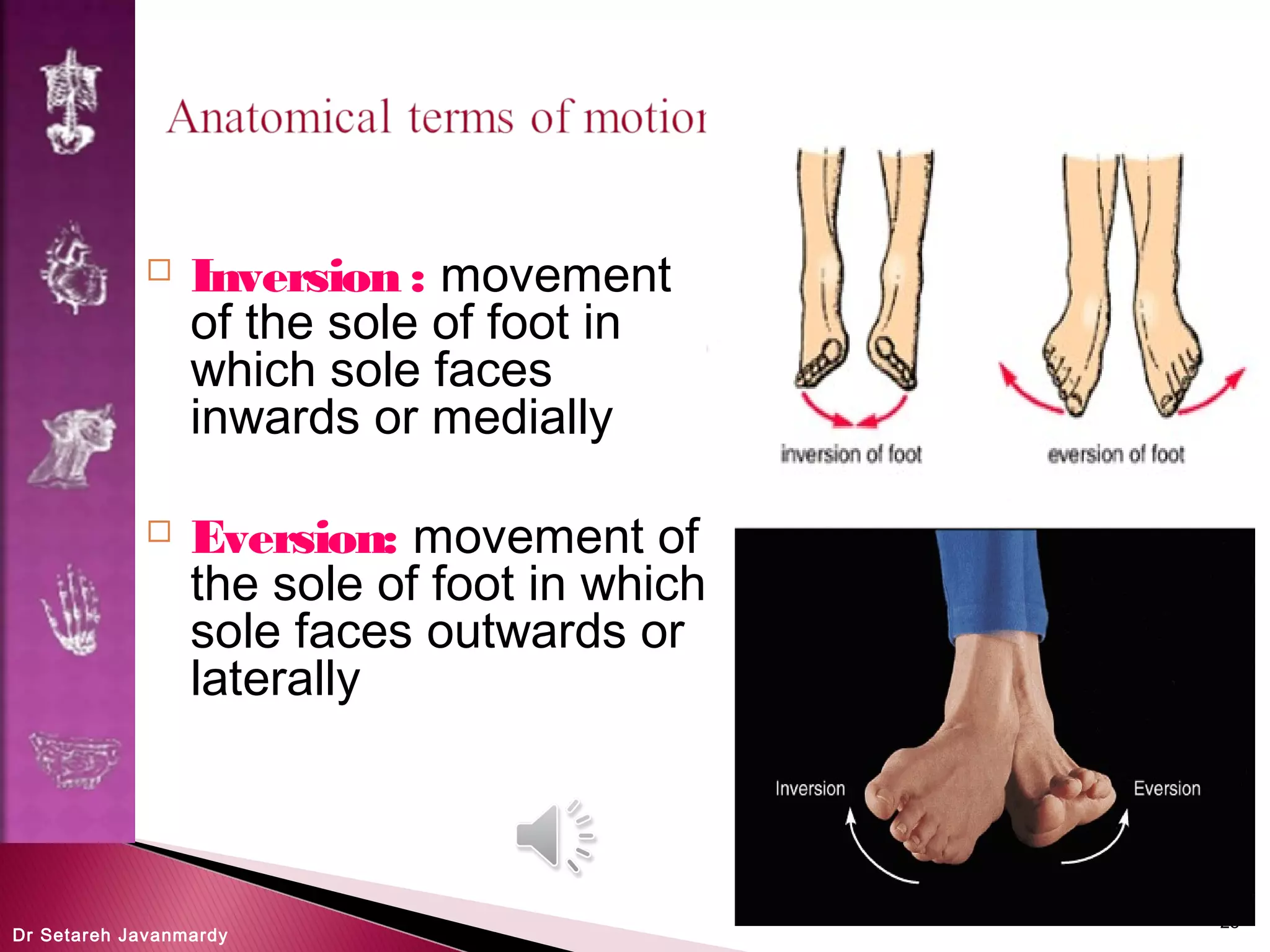 Introduction to anatomy, anatomical terms | PPT