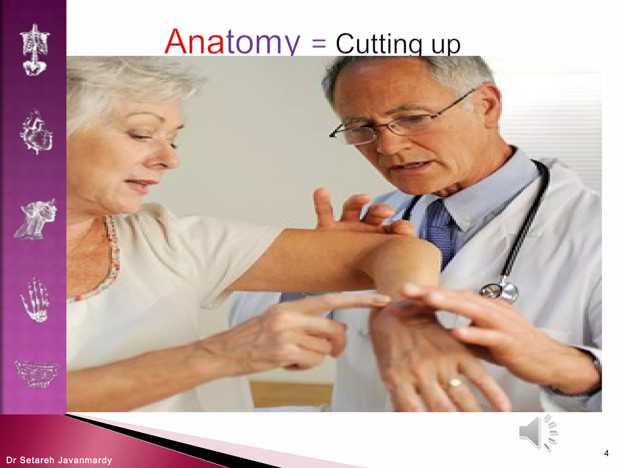 Introduction to anatomy, anatomical terms | PPT