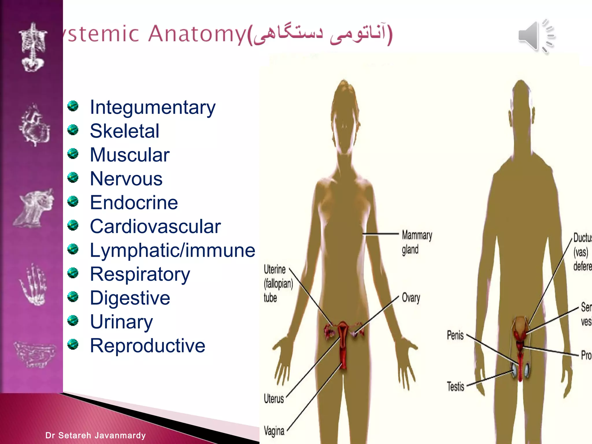 Introduction to anatomy, anatomical terms | PPT