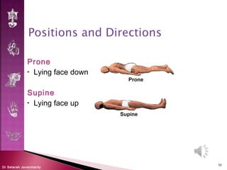 Introduction to anatomy, anatomical terms | PPT