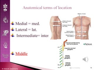 Introduction to anatomy, anatomical terms | PPT