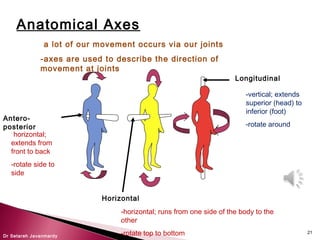 Introduction to anatomy, anatomical terms | PPT