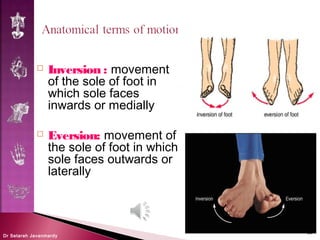 Introduction to anatomy, anatomical terms | PPT