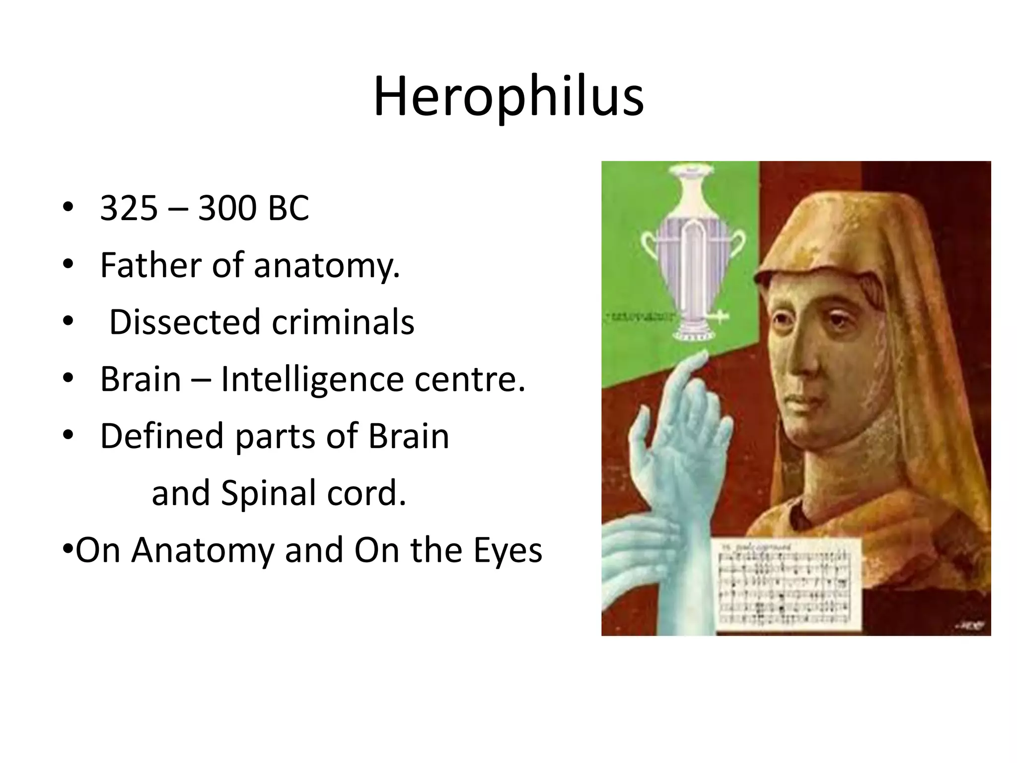 Introduction to anatomy and medical terminology | PPTX