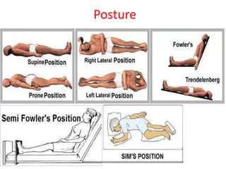 Introduction to anatomy and medical terminology | PPTX