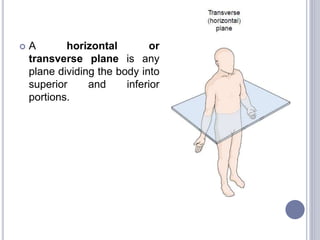 Introduction to anatomy and physioligy.pptx