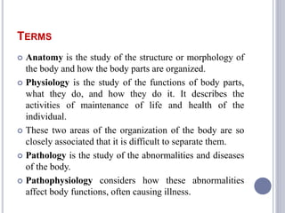 Introduction to anatomy and physioligy.pptx | Free Download