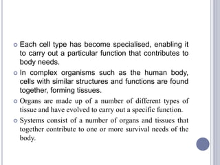 Introduction to anatomy and physioligy.pptx | Free Download