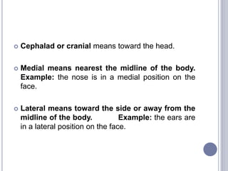 Introduction to anatomy and physioligy.pptx