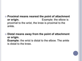 Introduction to anatomy and physioligy.pptx
