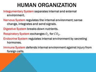 Introduction to anatomy and physiology | PPT