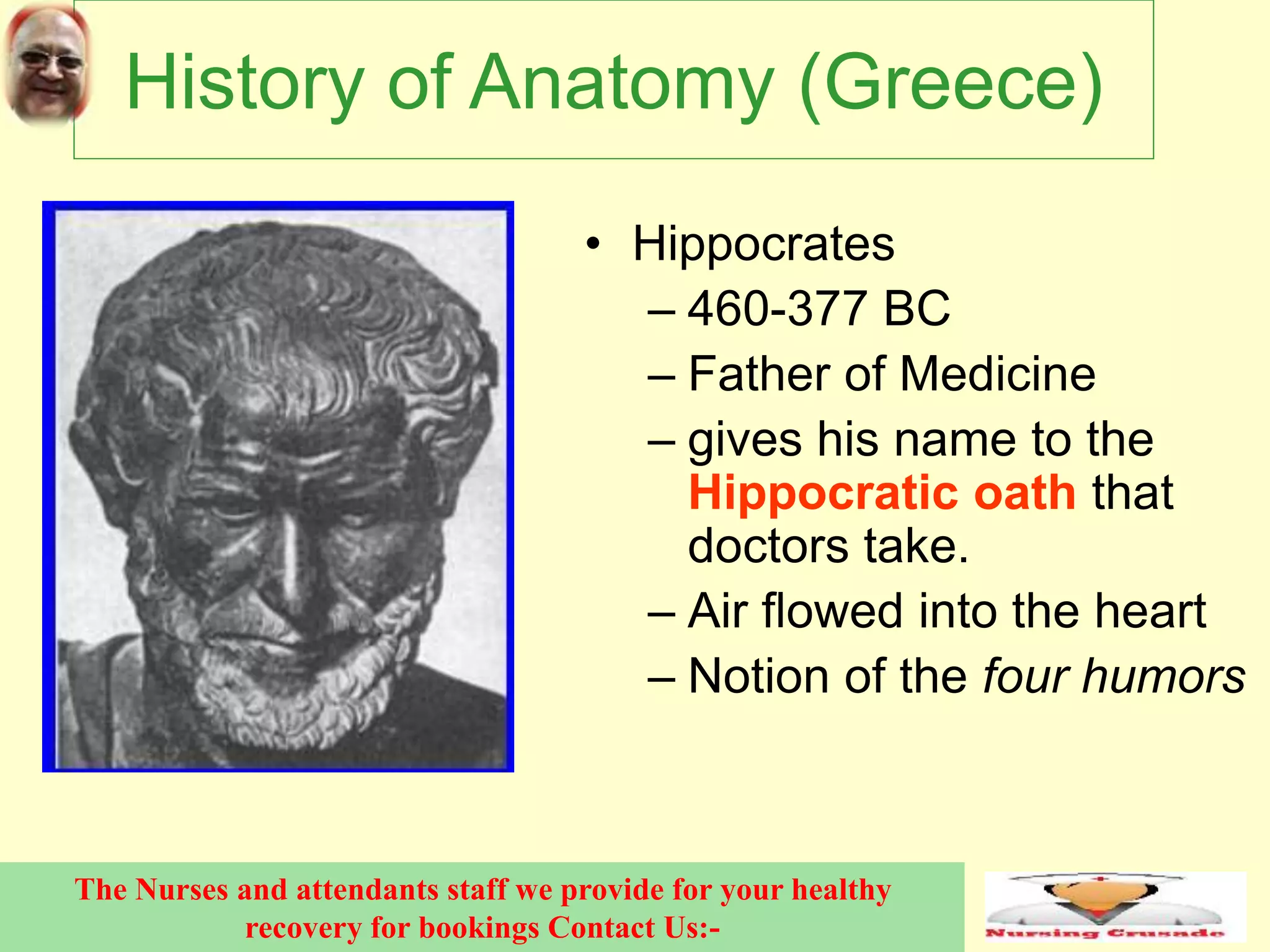 Introduction to anatomy and physiology | PPTX