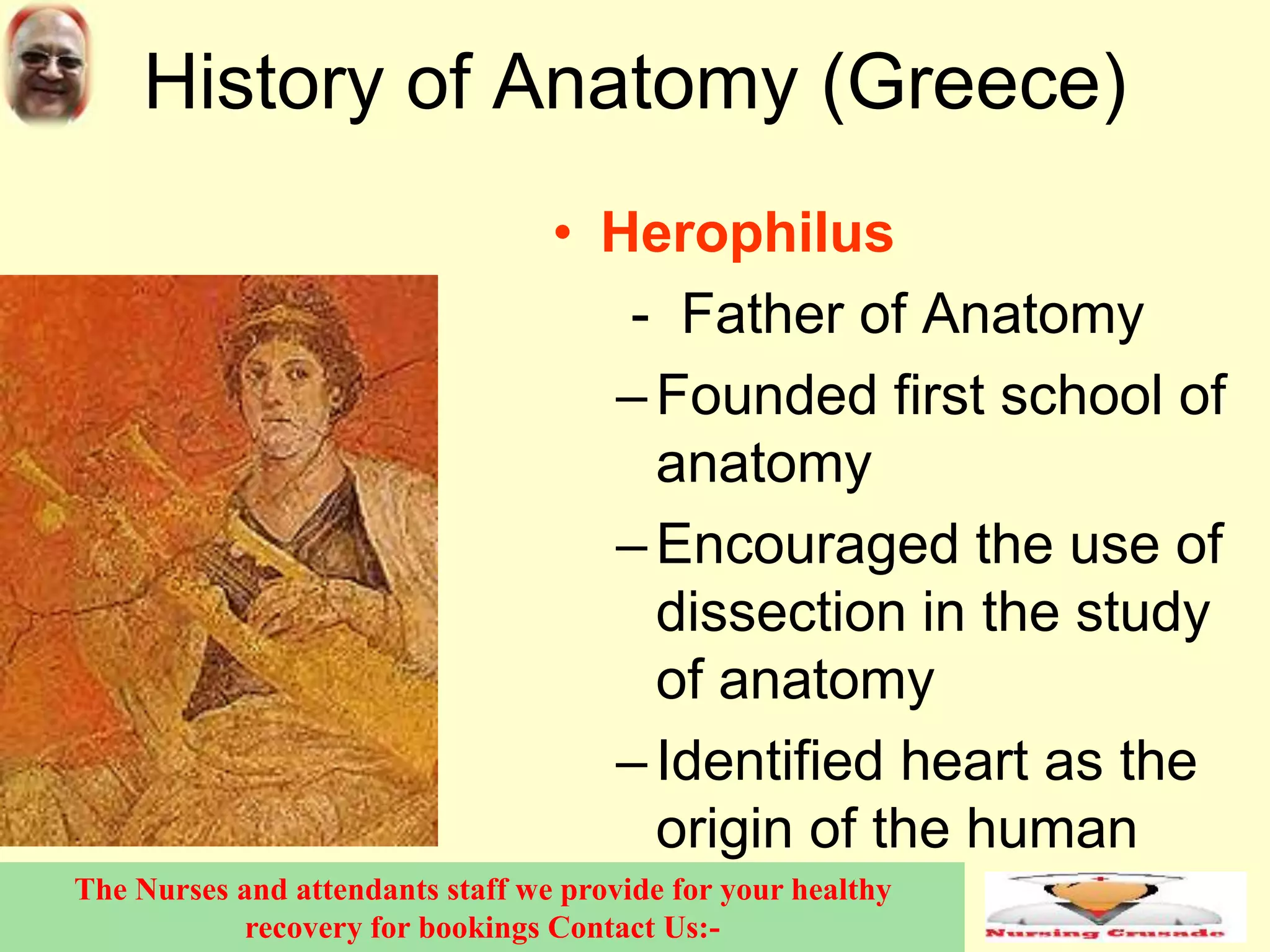 Introduction to anatomy and physiology | PPTX