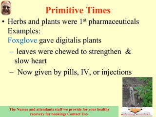 Introduction to anatomy and physiology | PPTX