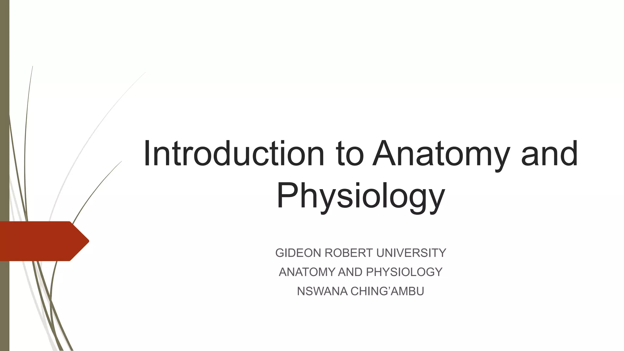 Introduction to anatomy and physiology.pdf