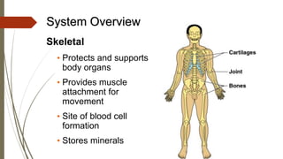 Introduction to anatomy and physiology.pdf