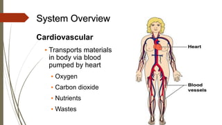 Introduction to anatomy and physiology.pdf