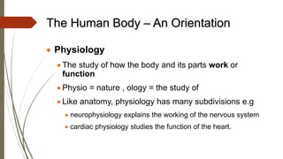 Introduction to anatomy and physiology.pdf