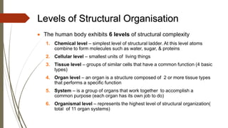 Introduction to anatomy and physiology.pdf