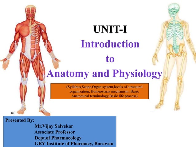 introduction to anatomy and physiology | PPT