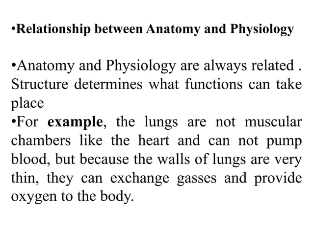 introduction to anatomy and physiology | PPT