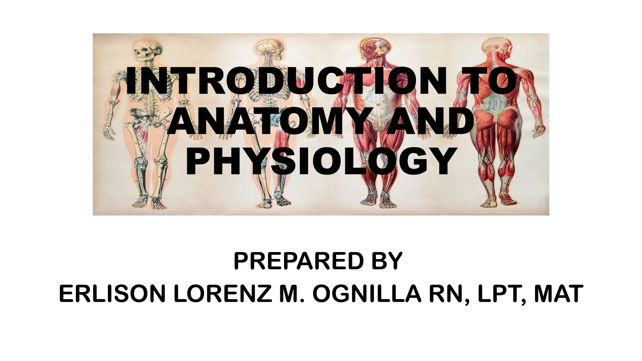 INTRODUCTION TO ANATOMY AND PHYSIOLOGY.pptx