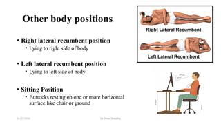 Introduction to Anatomy and Physiology.pptx