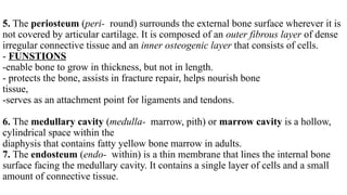INTRODUCTION TO ANATOMY AND PHYSIOLOGY- BONES AND SKELETAL SYSTEM.pptx