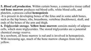 INTRODUCTION TO ANATOMY AND PHYSIOLOGY- BONES AND SKELETAL SYSTEM.pptx