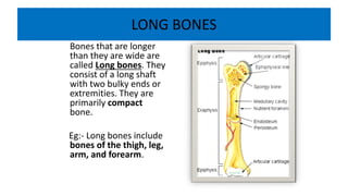Introduction to Anatomy and Physiology 02.pdf