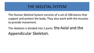 Introduction to Anatomy and Physiology 02.pdf