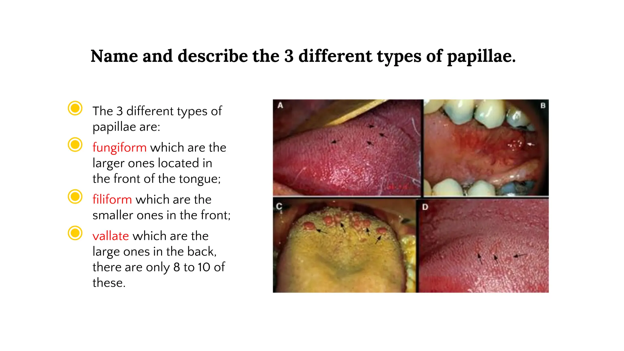 Introduction to Anatomy and Physiology 05.pdf