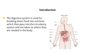 Introduction to Anatomy and Physiology 05.pdf