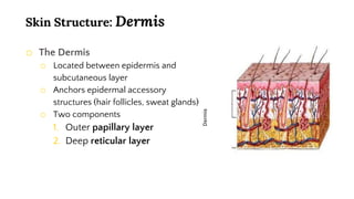Introduction to Anatomy and Physiology 09.pdf